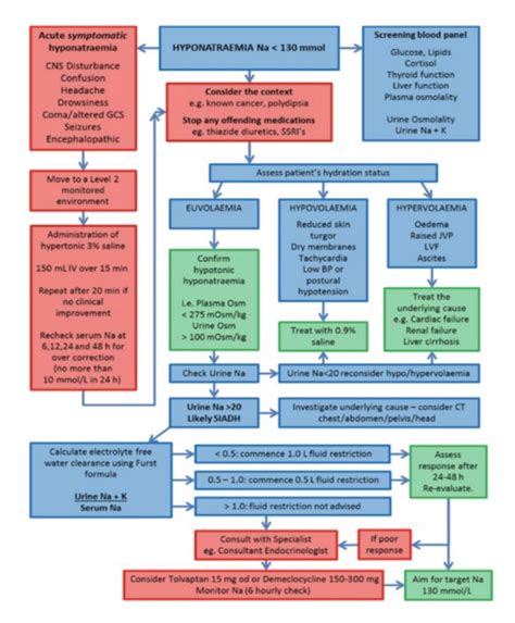 Siadh Symptomer Undersøkelser Behandling Mont Blanc