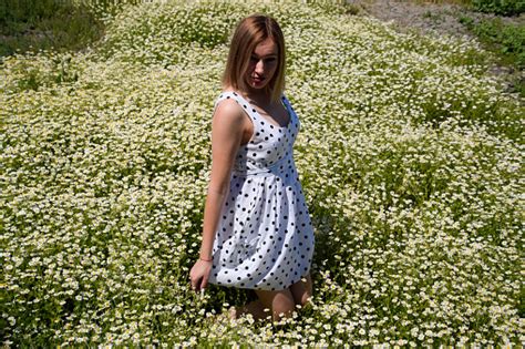 물방울 무늬가 있는 흰 드레스에 여자는 데이지와 함께 글레이드에 있습니다 개화 데이지 계절에 대한 스톡 사진 및 기타 이미지 계절 긴 꽃 나무 Istock