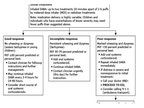 Acute Exacerbation Of Asthma Pdf