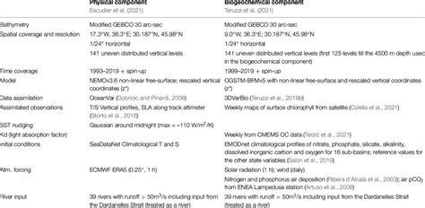 Setup Of The Biogeochemical Reanalysis And Its Off Line Coupling With