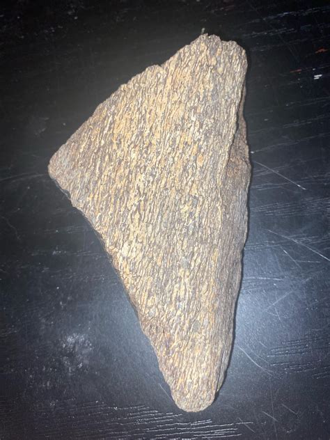 Fossilized Bone R Fossilid