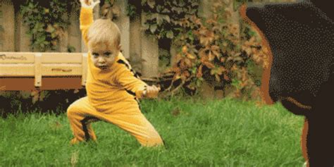 When My Project Goes Into The Test Phase The Coding Love Programmer Humor S Memes Jokes