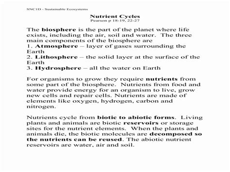Nutrient Cycle Worksheet Answer Key Printable Calendars AT A GLANCE