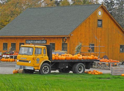 5 Fantastic Farms Along The Essex Coastal Scenic Byway
