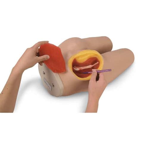 3b Scientific Intramuscular Injection Simulator Dark Skin Anatomy 3b Scientific Intramuscular Injection Simulator Dark Skin Anatomy