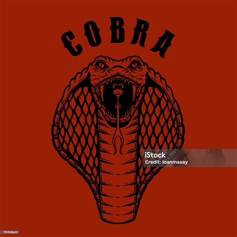코브라 조각 스타일의 뱀 머리 일러스트 포스터 카드 엠블럼 배너디자인 요소 벡터 일러스트레이션 코브라에 대한 스톡 벡터 아트 및