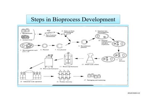 Introduction To Bioprocess Engineering
