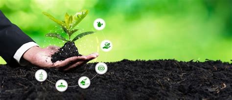 Premium Ai Image Businessman Nurturing Plant With Eco Design Icon