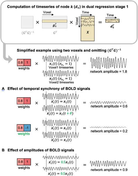 effects of temporal synchrony and amplitudes of bold signals on network