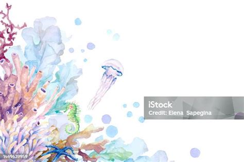 코너 프레임 산호초 흰색 배경에 격리된 다채로운 해초 산호 해파리 해마 불가사리의 이국적인 열대 수중 생물 구성 공간을 복사합니다 손으로 그린 수채화 수채화에 대한 스톡