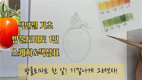 색연필기초방울토마토1편 스케치 And 색상표 보태니컬아트 기초 Botanical Art기초를 탄탄하게 쉬고 즐겁게 방울