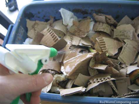 Setting Up A New Worm Bin Red Worm Composting