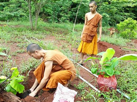 ปลู วัดหนองจาน ตำบลตะแบกบาน อำเภอครบุรี จังหวัดนครราชสีมา