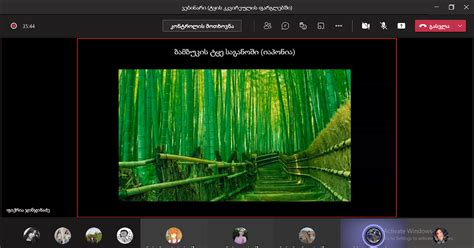 ქ ქუთაისის 31 ე საჯარო სკოლის ეკოკლუბი ეკომისია და სასკოლო