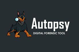 Kali Linux Seguridad auditoría y hacking ético Full Software Libre