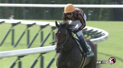 葵S 結果 競馬が趣味ですが何か