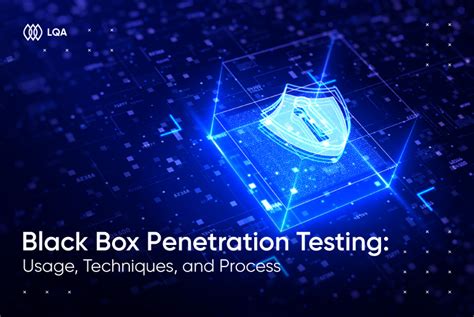 Black Box Penetration Testing Usage Techniques Process