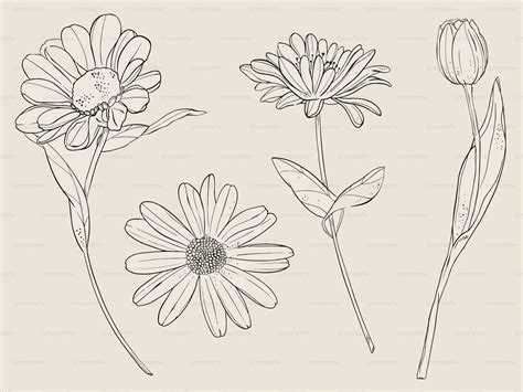 흰색 배경에 세 개의 꽃이 그려진 그림 벡터 Unsplash의 꽃 이미지