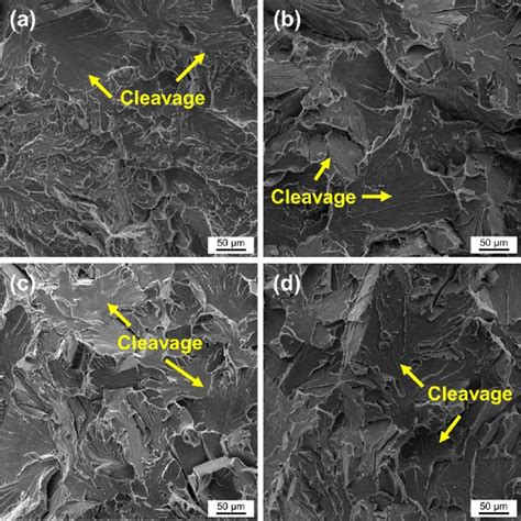 Fracture Surface Micrographs Of The Charpy V Notch Tested Specimens Download Scientific Diagram