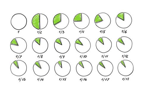 100 15 Segment Infographic Stock Illustrations Royalty Free Vector