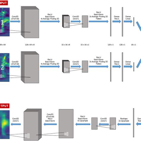 Diagram Of The Autoencoder Used For Extracting Latent Space Phenotypes Download Scientific