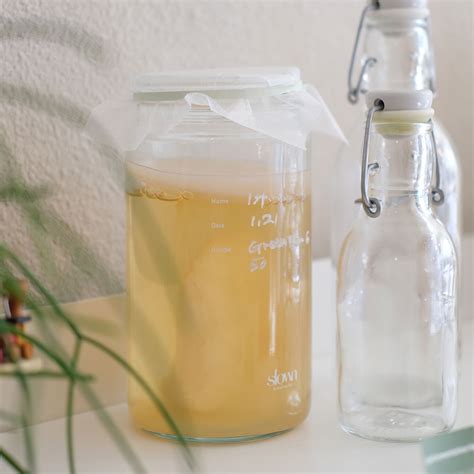 슬로운 콤부차 1차 발효 용기