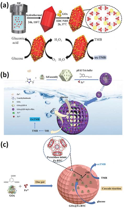 A Schematic Illustration Of The Synthesis Fe‐mil‐88b‐nh2‐gox And The
