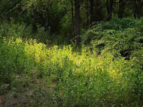 Premium Photo Outdoor Concept Architectural Visualization 3d