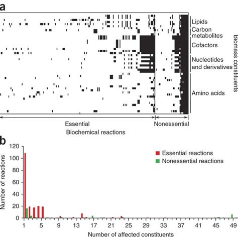 Functions Of E Coli Metabolic Reactions In Glucose Minimal Mediuma