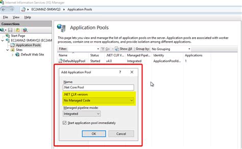 Hostowanie Hosting Aplikacji Net Core Na Windows Server I Iis Blog It Business Pl