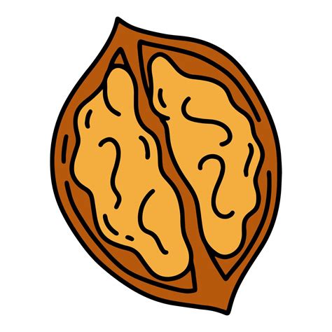 Walnut Simple Linear Cartoon Icon In Doodle Style Vector Illustration