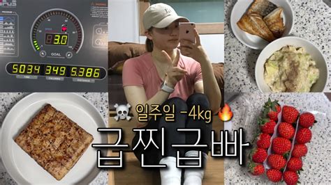 Vlog 맛있는 거 다 참았다 L 리얼 다이어트 일기🥗 Youtube