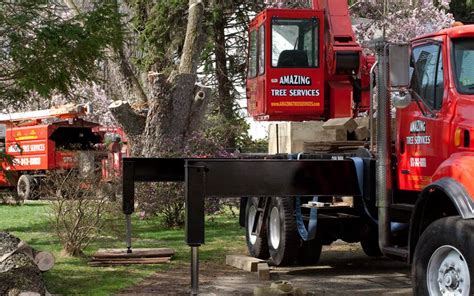AmazingTreeServiceNJ Tree Removal In NJ
