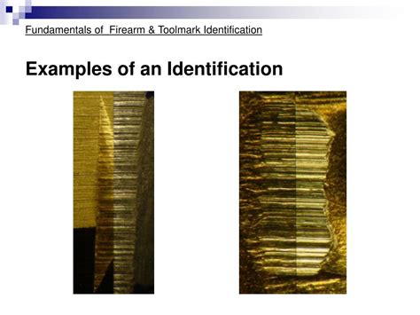 Ppt Firearm And Toolmark Identification Powerpoint Presentation Id4057271
