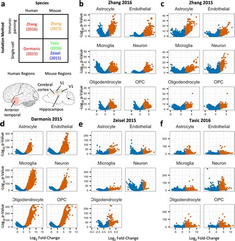 Differential Expression Volcano Plots Across Cell Types And Data Sets