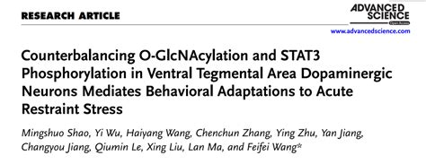 基础医学院脑科学研究院脑功能与脑疾病全国重点实验室王菲菲马兰课题组揭示中脑 边缘多巴胺系统应激适应的分子调控机制