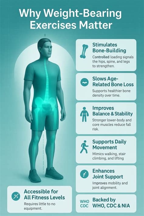 15 Best Weight Bearing Exercises For Strong Bones And Muscles