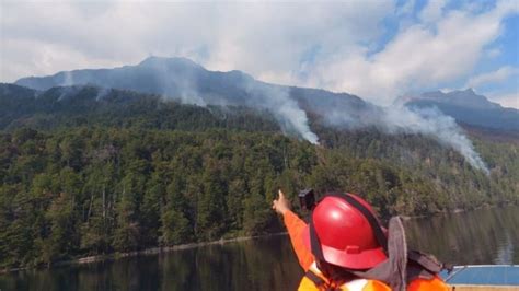 Incendios Forestales En La Patagonia Más De 200 Brigadistas Combaten