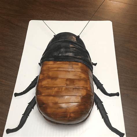 Cockroach Birthday Cake Ideas Images Pictures