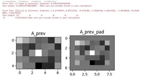 course 4 week 1 assignment 1 exercise 3 conv forward