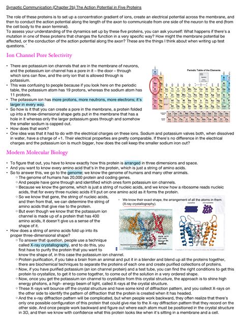 Lecture 4 Ntc Psyc 311 Synaptic Communication Chapter 2b The Action Potential In Five