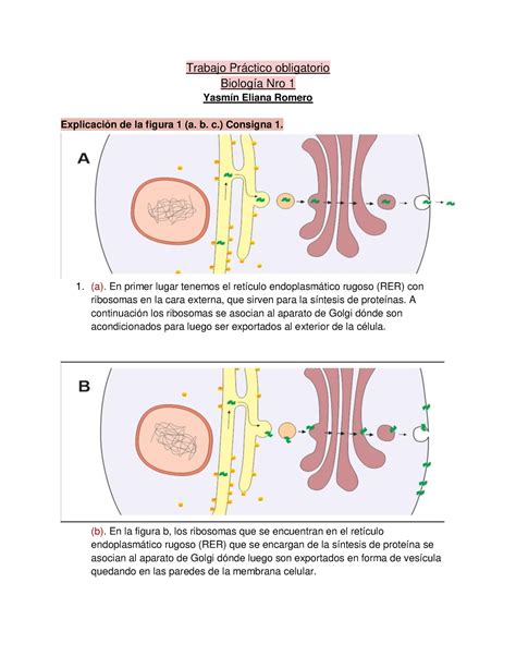 Tp Bio Romero Tp De Biologia Módulo 2 Al 7 Trabajo Práctico