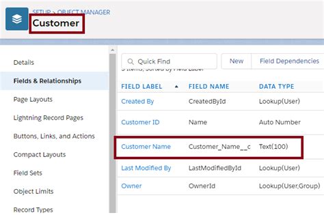 Creating A Custom Field In SalesForce