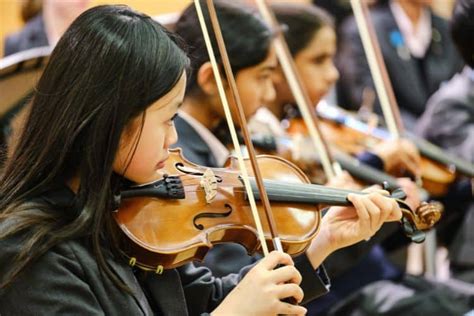 Strings And Orchestras