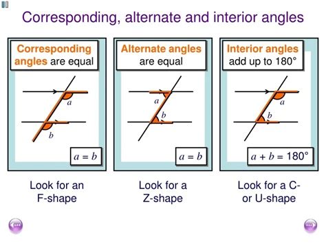 Corresponding Angles And Alternate Interior Angles At Paige Cosgrove Blog