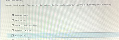 Solved Identify The Structures Of The Nephron That Maintain