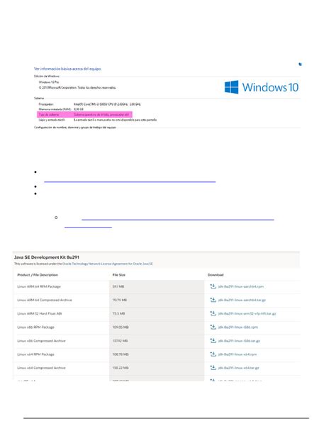 Clase 0 Descarga De Jre Jdk Y Netbeans Pdf Frijoles Netos Aplicaciones Y Software