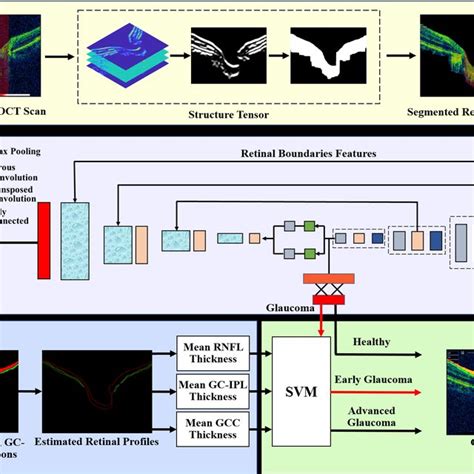 Optic Nerve Head Onh Oct Scan Depicting A Healthy And B Download Scientific Diagram