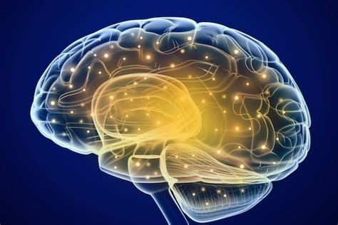 Iq Que Es Y Como Se Mide Maestria Salud