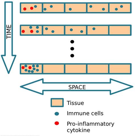 Chemotaxis Process Schematic Representation Of Chemotaxis Download